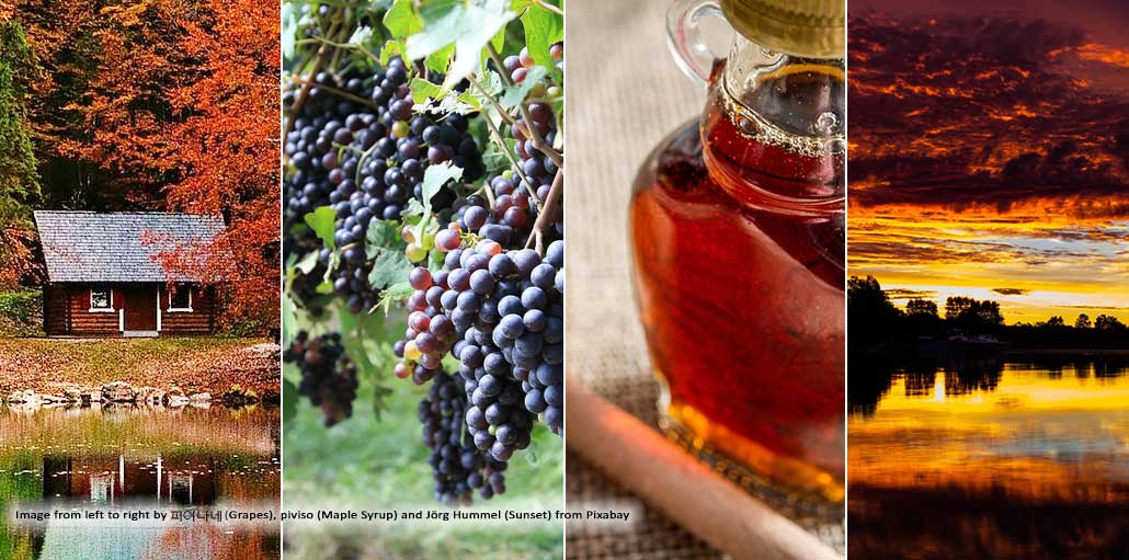 Ontario Autumn Staycation Guide: Cabins, Road Trips
